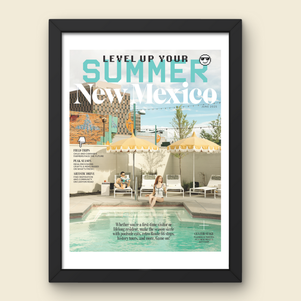 Route 66 Pool Poster – Framed Collector's Print | New Mexico Magazine– Buy New Mexico True